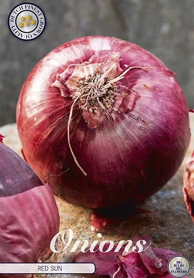 Lök/Onion - Red Sun - 250g – Plantansbroder